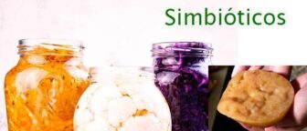 Symbiotics: what they are, uses, and where to easily obtain them